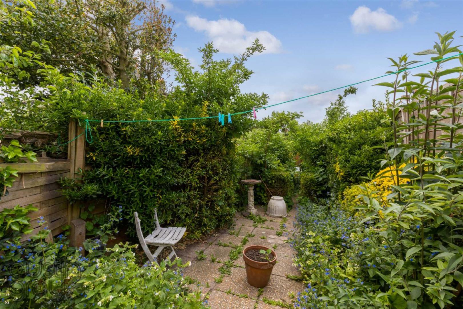 Toronto Terrace, Brighton - Austin Gray