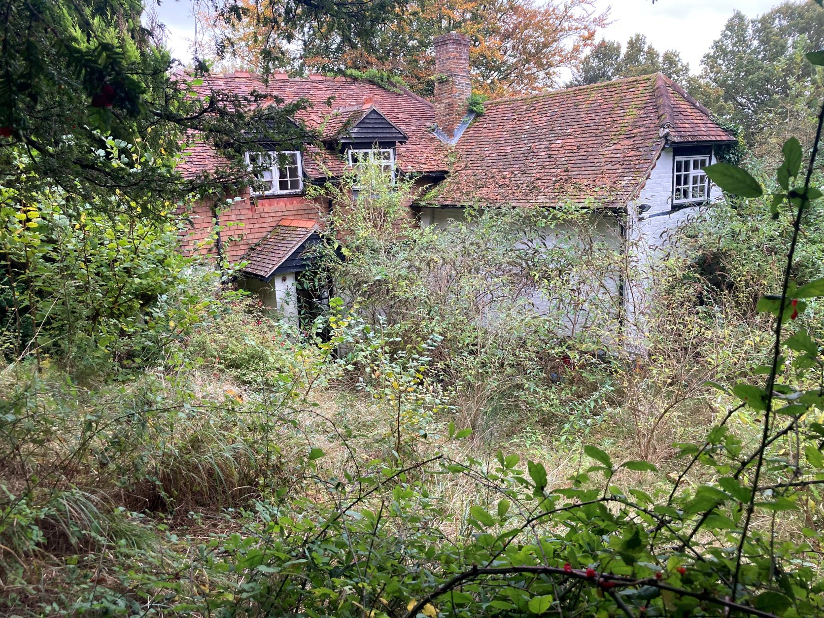 We’ve Got Mail !!! - Austin Gray